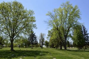 Cemetery Superstitions: Beliefs and Folklore - Trigard