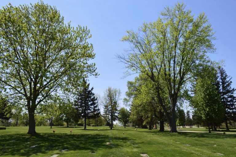 Cemetery Superstitions: Beliefs and Folklore - Trigard